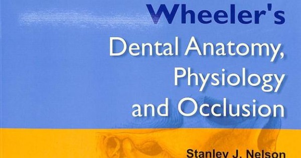 Wheelers Dental Anatomy Physiology and Occlusion 1st South Asian by ...